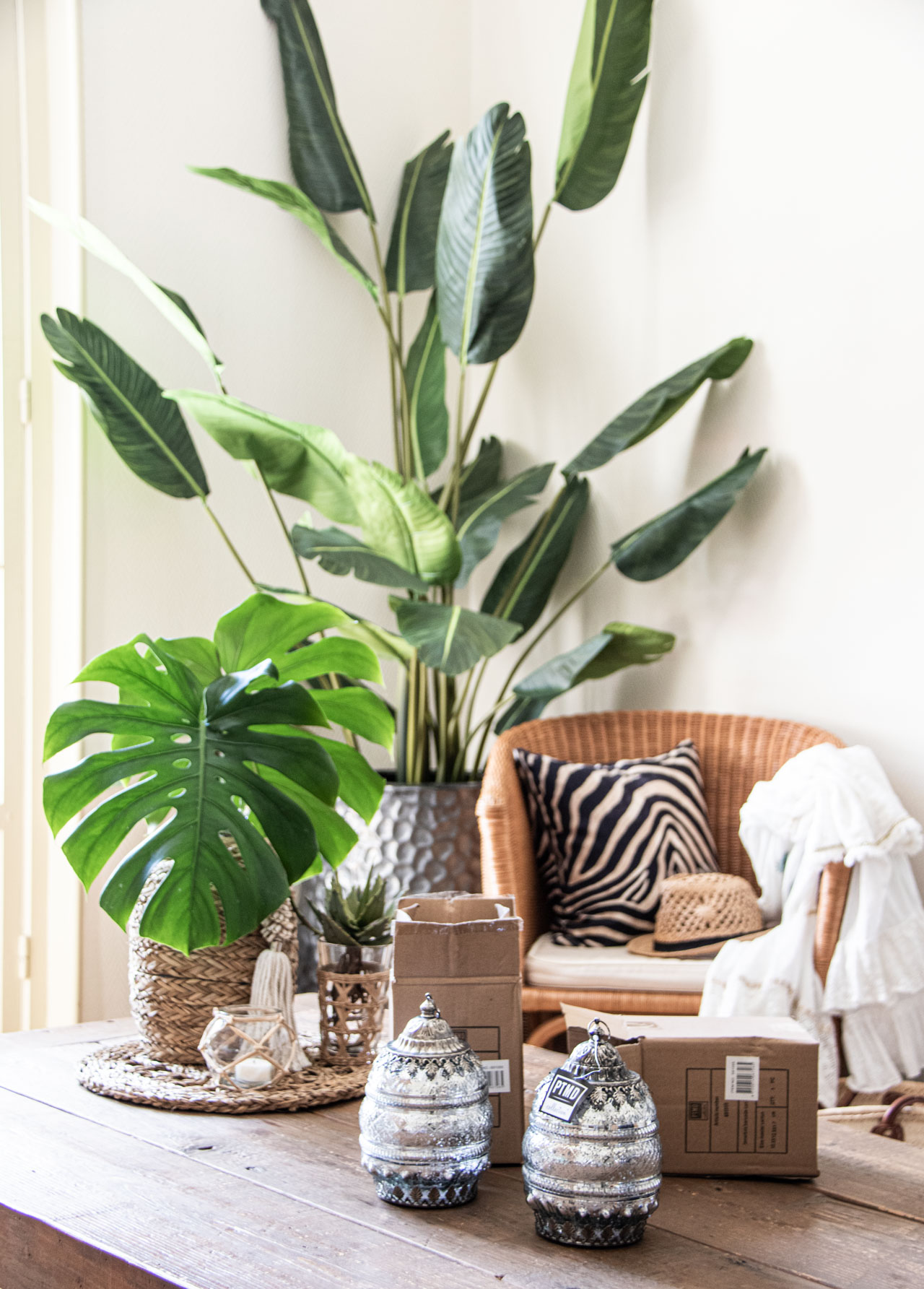 COZY LIGHT - Zeitgeist Living